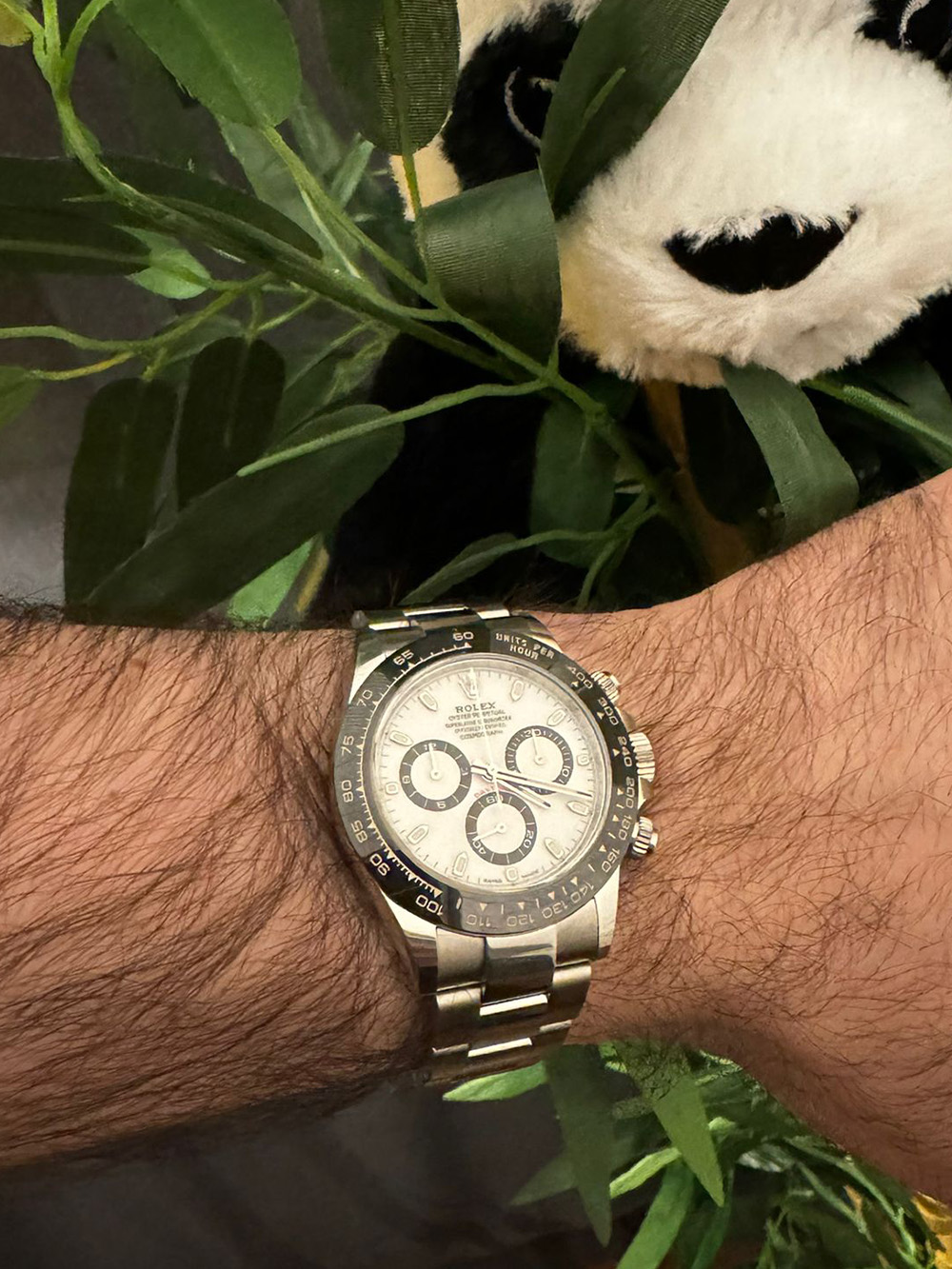 Panda - Page 2 - Rolex Forums - Rolex Watch Forum